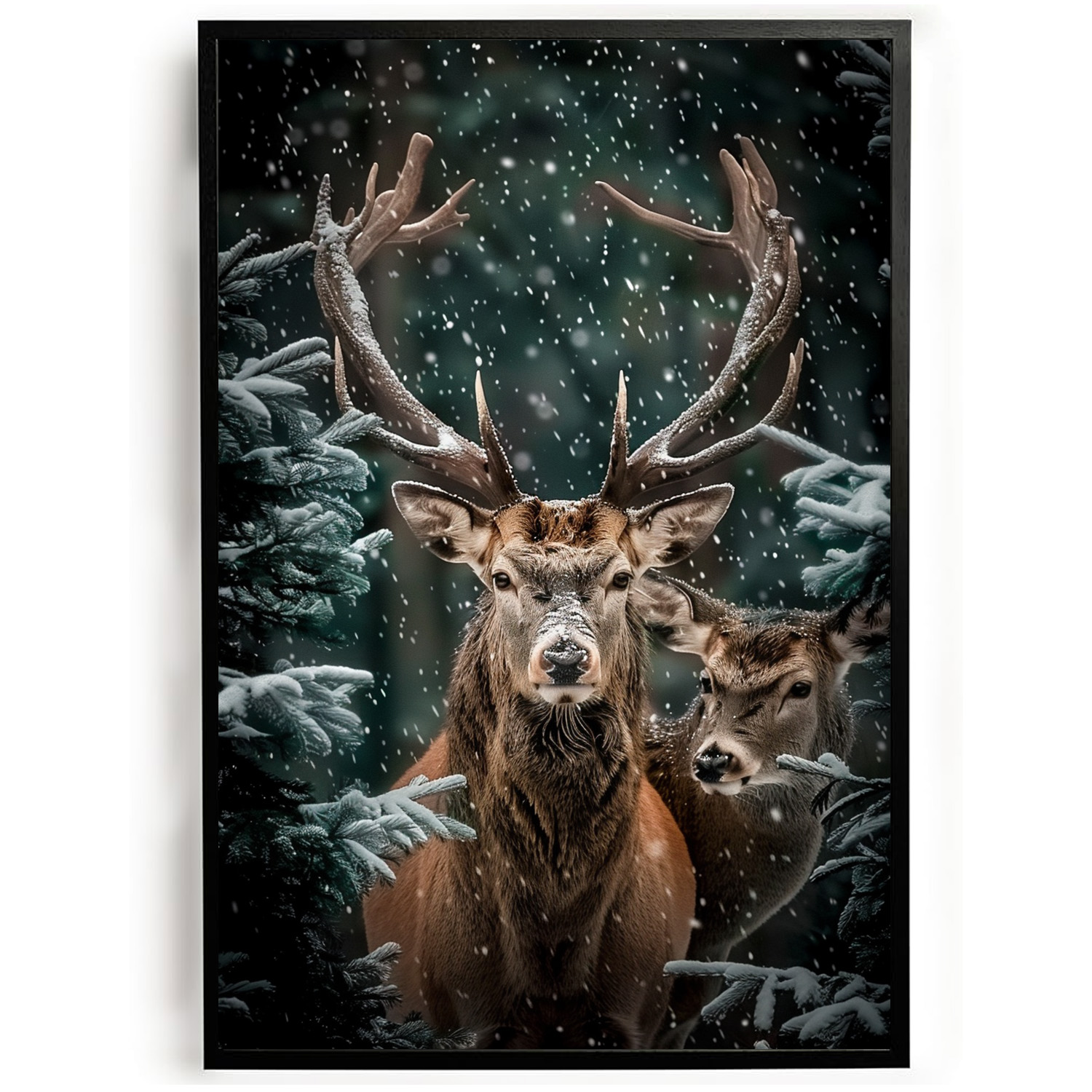 Poster edelhert beschermd vrouwtje Kopen? Posters v.a. 6,95
